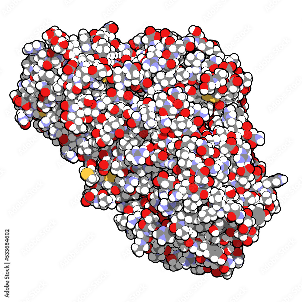 Ricin castor bean plant poisonous protein, chemical structure. Stock ...