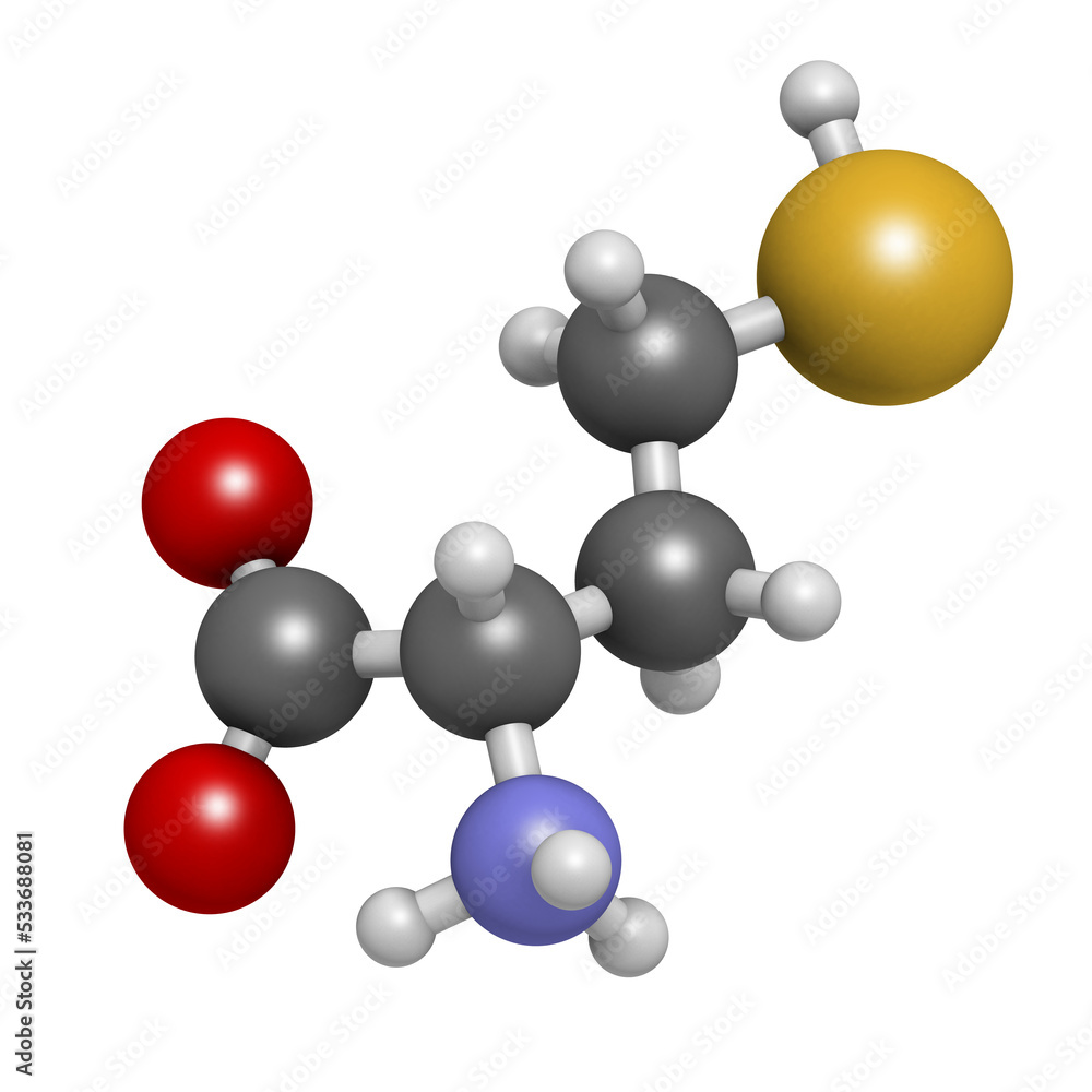 Homocysteine (Hcy) biomarker molecule. Increased levels indicate ... Homocysteine (Hcy) biomarker molecule. Increased levels indicate ...