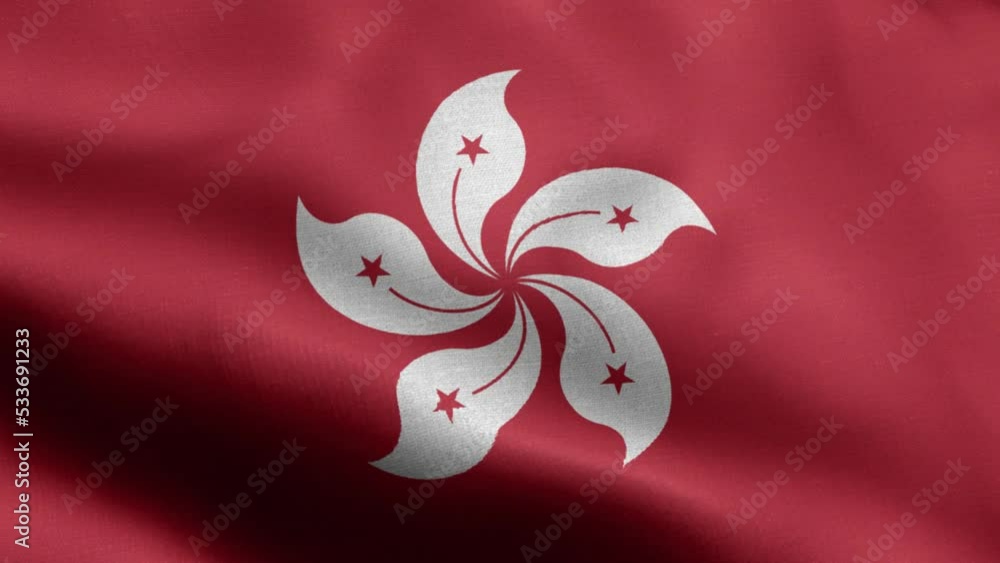 Flag Of Hong Kong - Hong Kong Flag High Detail - National flag Hong Kong wave Pattern loopable ...