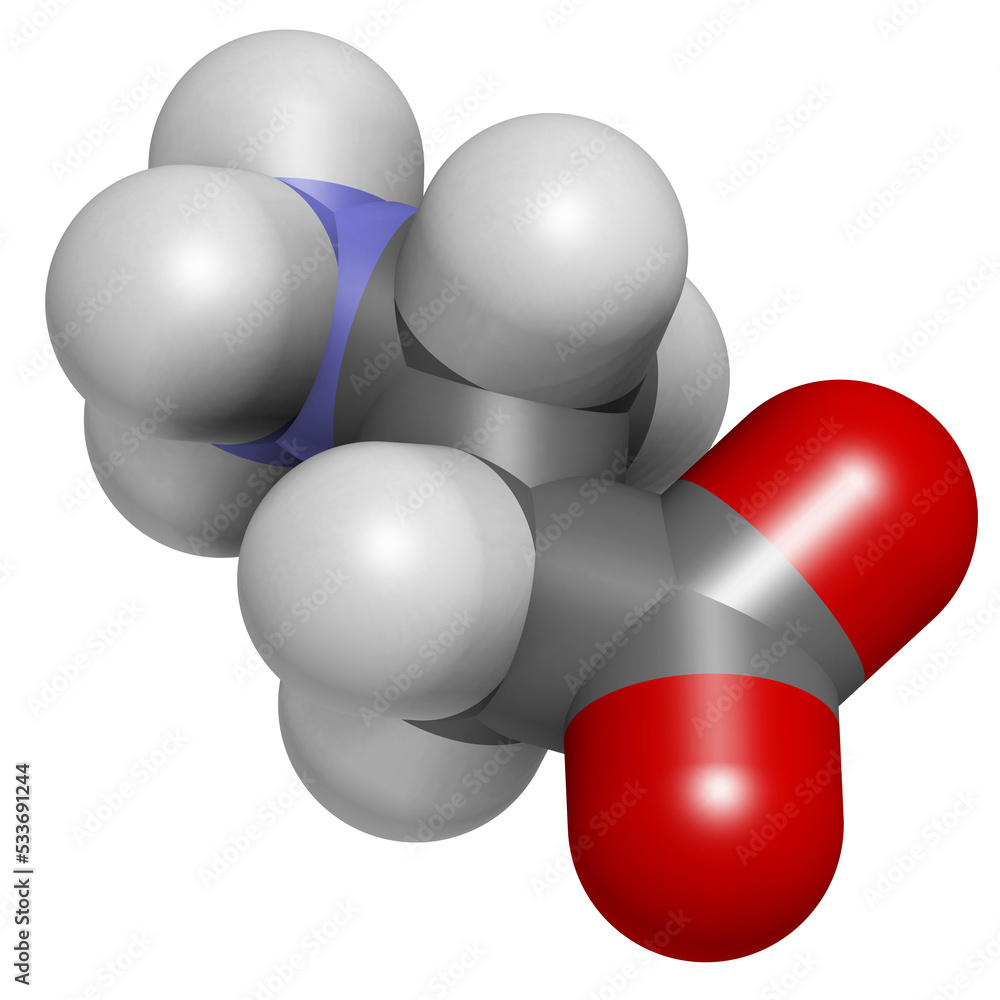 Beta-alanine molecule. Naturally occurring beta amino acid. Precursor ...
