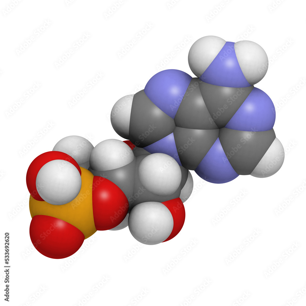 Cyclic adenosine monophosphate (cAMP) molecule. Stock Illustration ... Cyclic adenosine monophosphate (cAMP) molecule. Stock Illustration ...