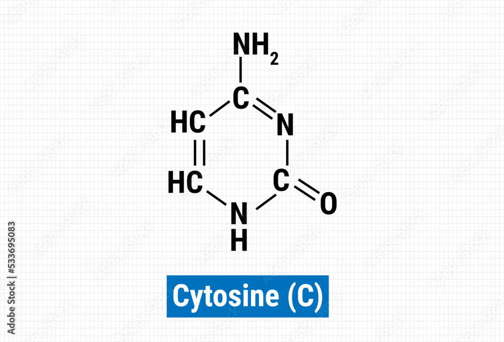 Chemical structure of Cytosine (C) Stock Vector | Adobe Stock