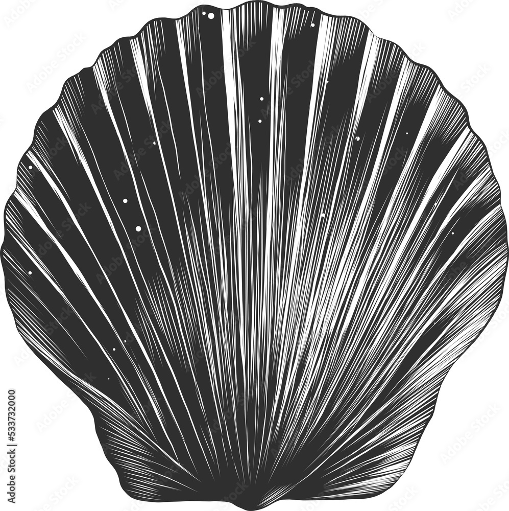 PNG engraved style illustration for posters, decoration and print. Hand ...