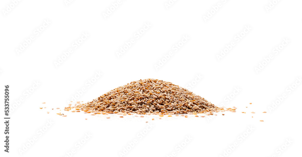 Plantago Ovata Seeds Isolated, Psyllium Husk, Isabgol Ispaghula Stock ...