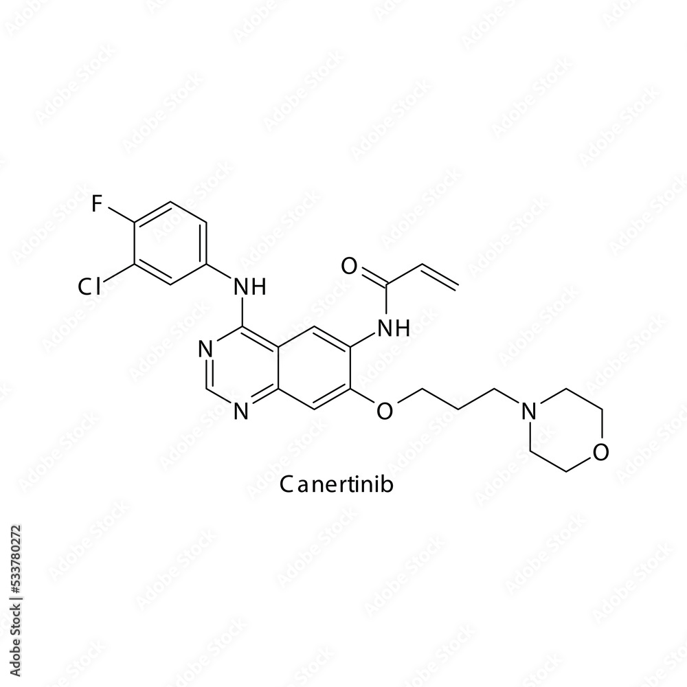 Canertinib molecule flat skeletal structure, Tyrosine kinase - EGFR ...