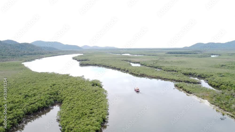 Estuarine channel in the middle of the Atlantic Forest of the Brazilian ...