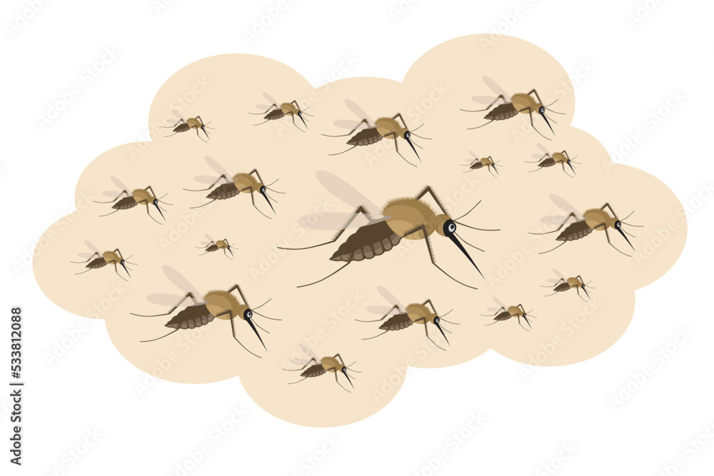 Mosquito vector. Mosquitoes bite humans. Flying insect illustration ...