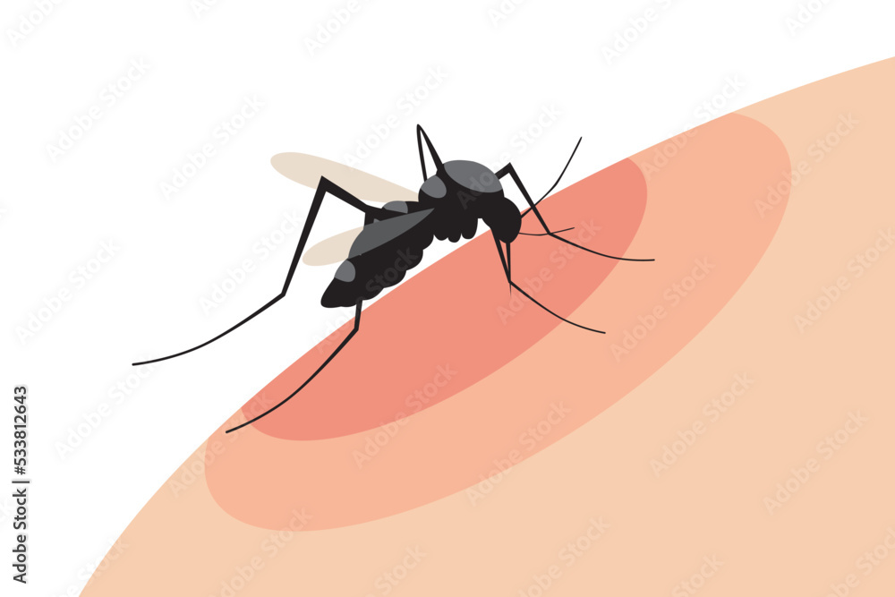 Flying mosquito vector. Mosquitoes bite humans. Flying insect ...