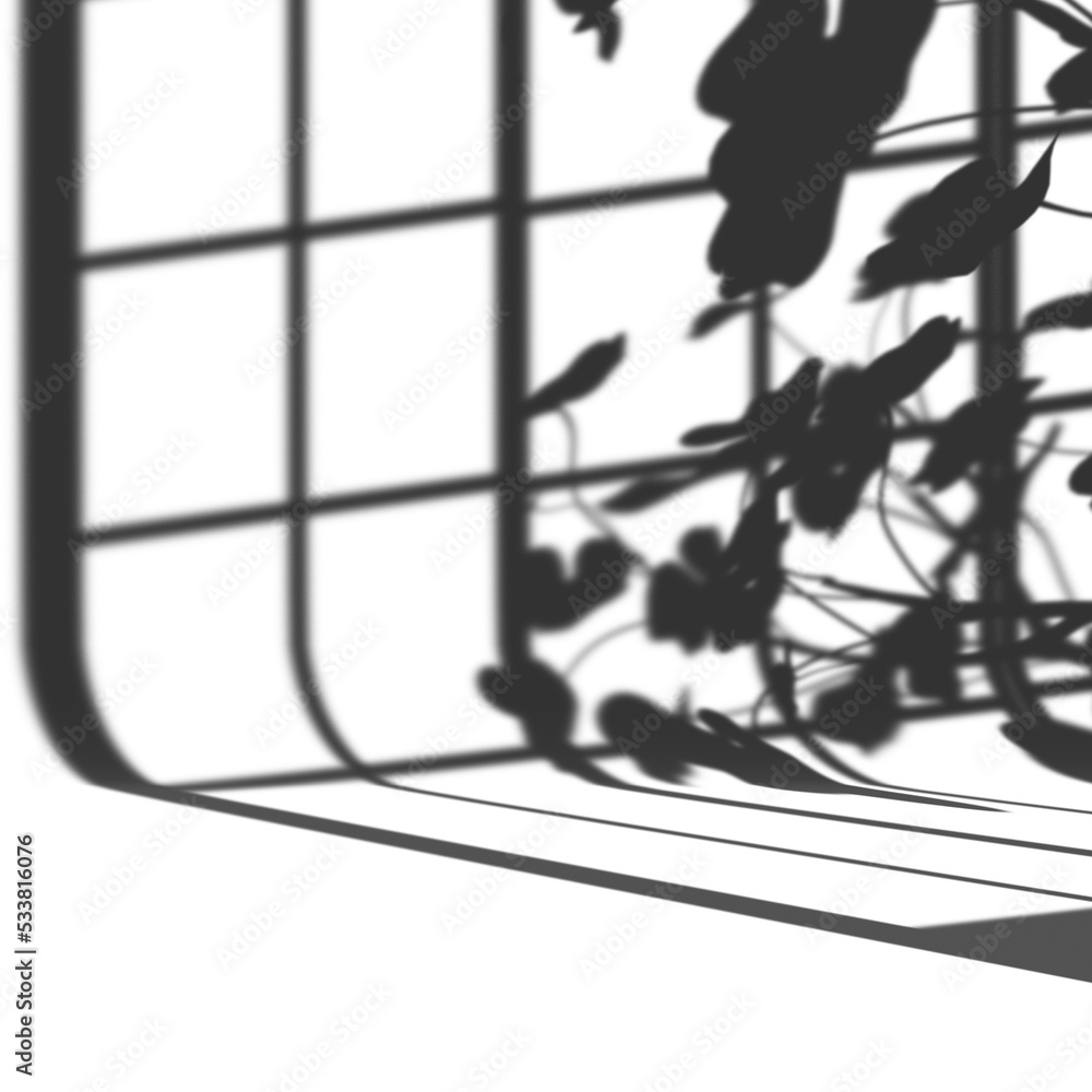 Transparent Shadow From Window Plants And Leaves Illustration Stock ...