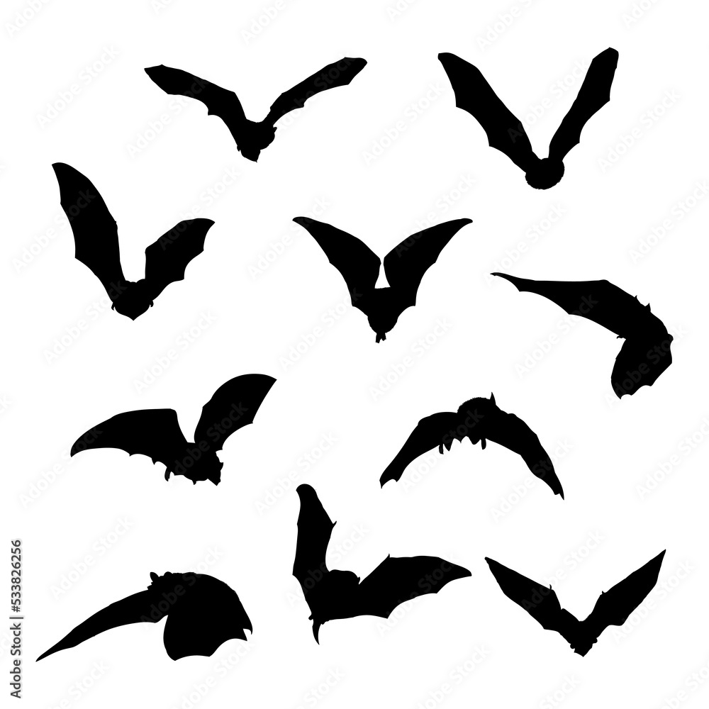 vampire bat silhouette hand drawing vector illustration isolated on ...