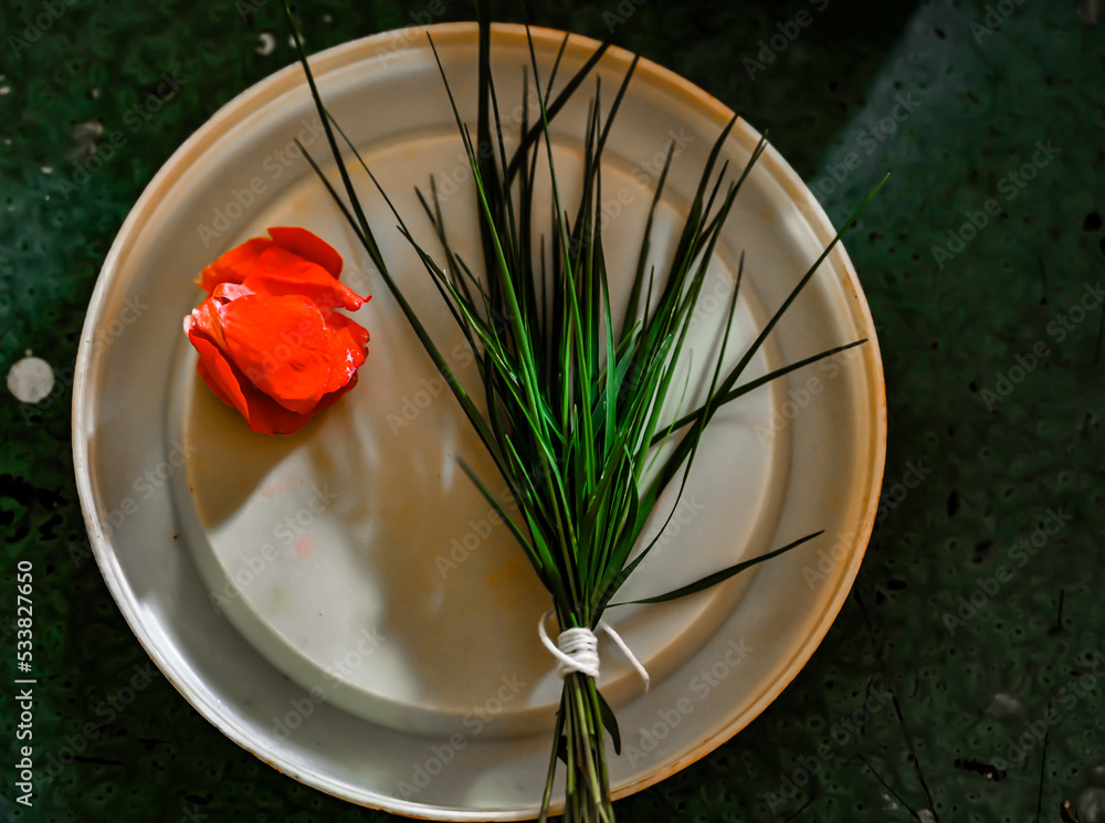 White Plate With Red Rose Petals and Green Grass For Lord Ganesha Close ...