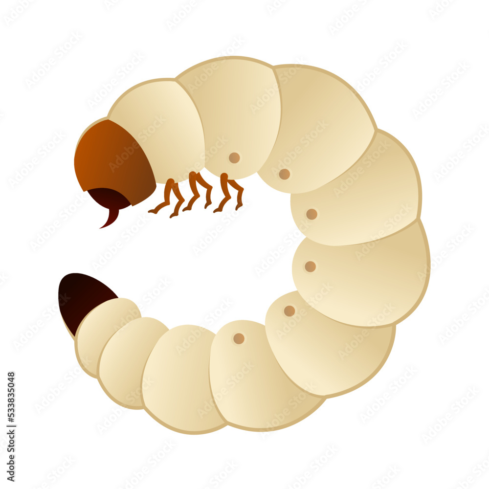 Poster larva grub vector illustration logo icon clipart – Wall Art ...