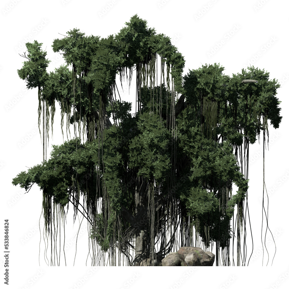 Banyan Tree – Front View Stock Illustration | Adobe Stock