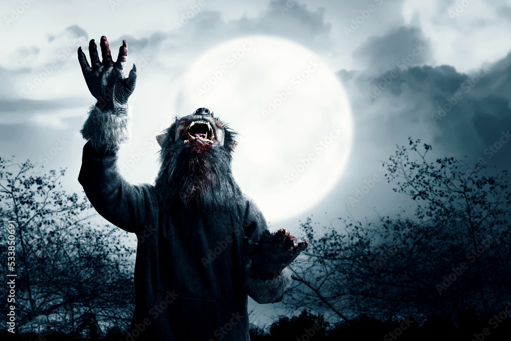 A werewolf with a full moon Stock Photo | Adobe Stock