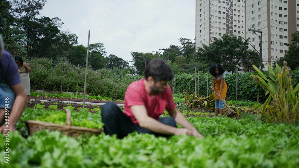 Community urban farmers at small local organic farm. Group of people ...