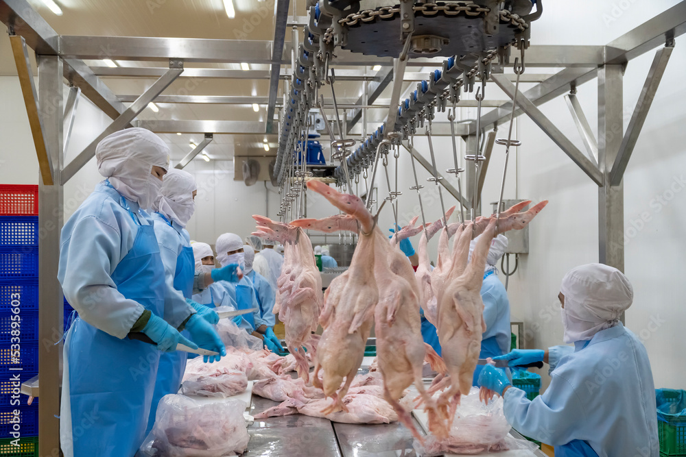 Several factory employees workers, in the production process of ...