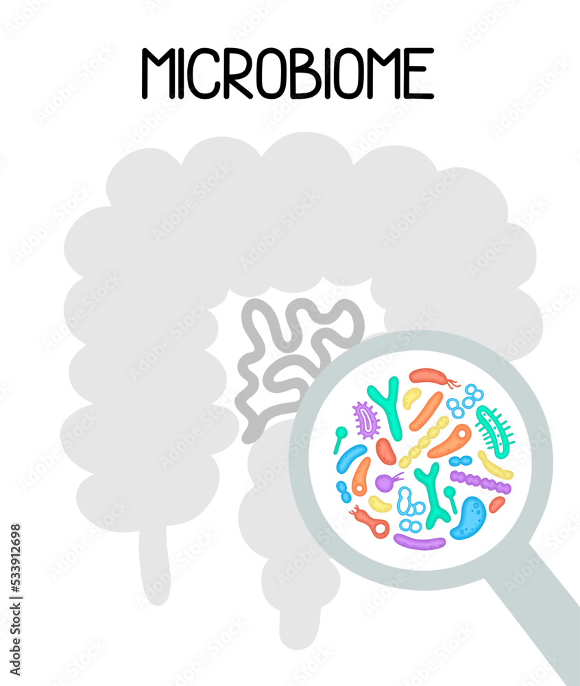 Human microbiome illustration with intestines and bacteria Vector ...