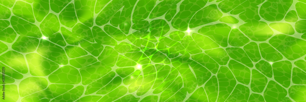 Green plant cell pattern under a microscope or abstract background ...