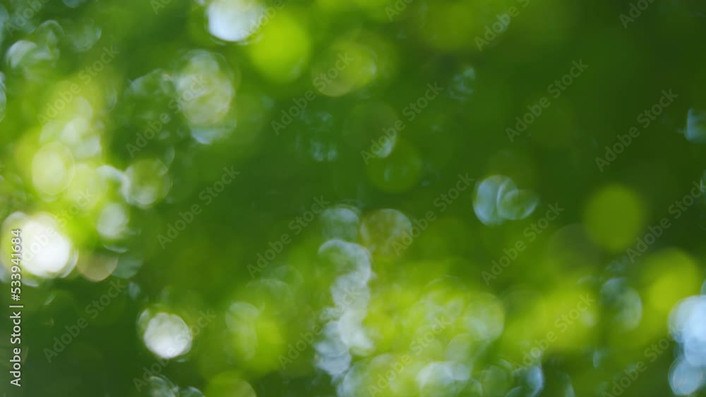 Blur green tree leaves with bokeh background. Green natural background ...