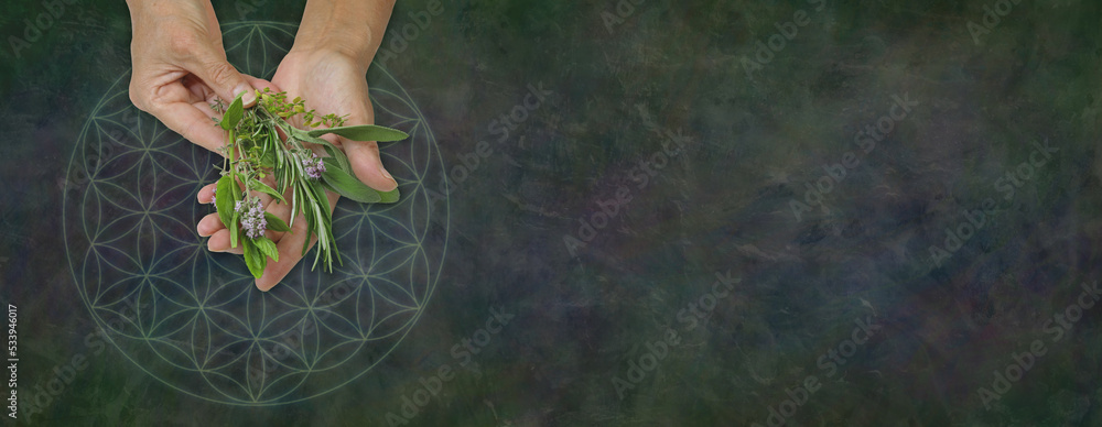 Naturopathy and the Flower of Life Symbol banner - female offering ...