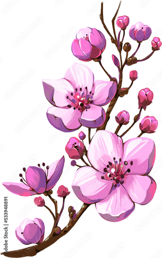 Cherry blossom, sakura illustration Stock Illustration | Adobe Stock