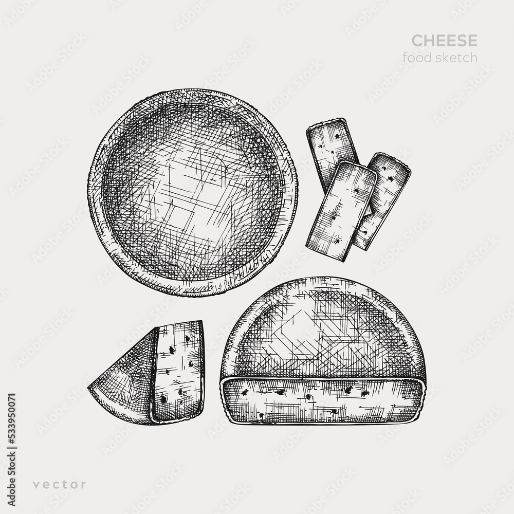 Cheese hand drawn illustration collection. Food design elements. Vector ...