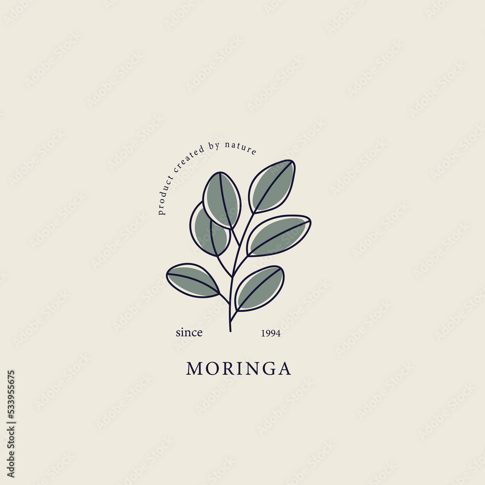 Line art moringa illustration. Botanical drawing Stock Vector | Adobe Stock