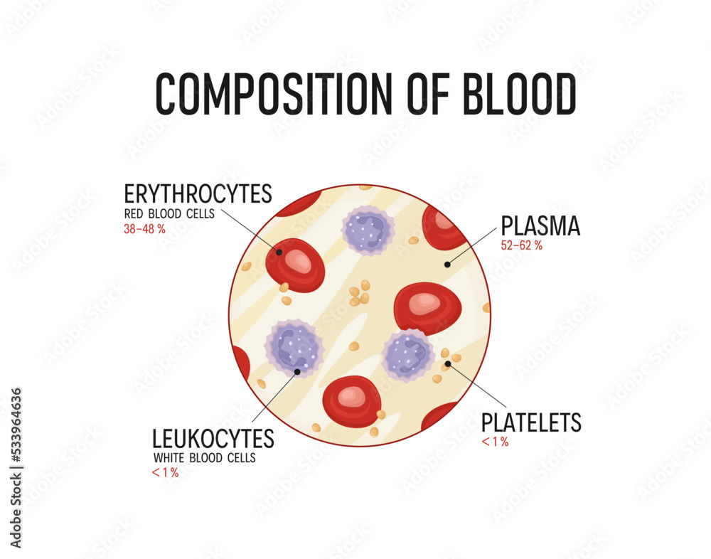 Blood Plasma Diagram