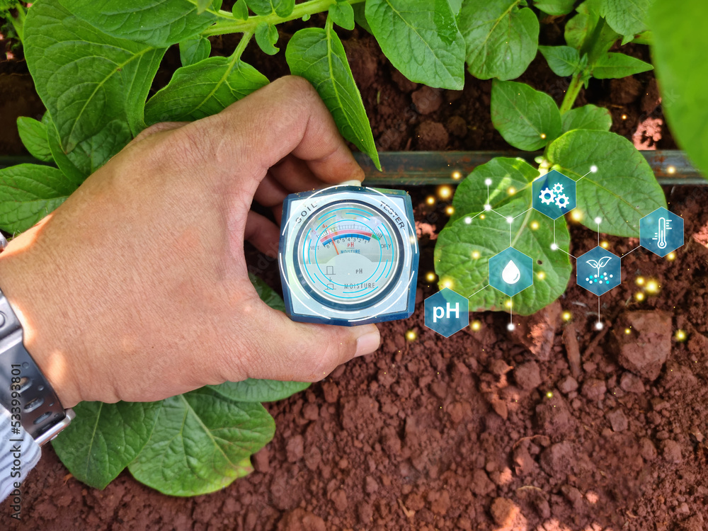 Soil testers used by the framer's hand to monitor soil pH and moisture ...