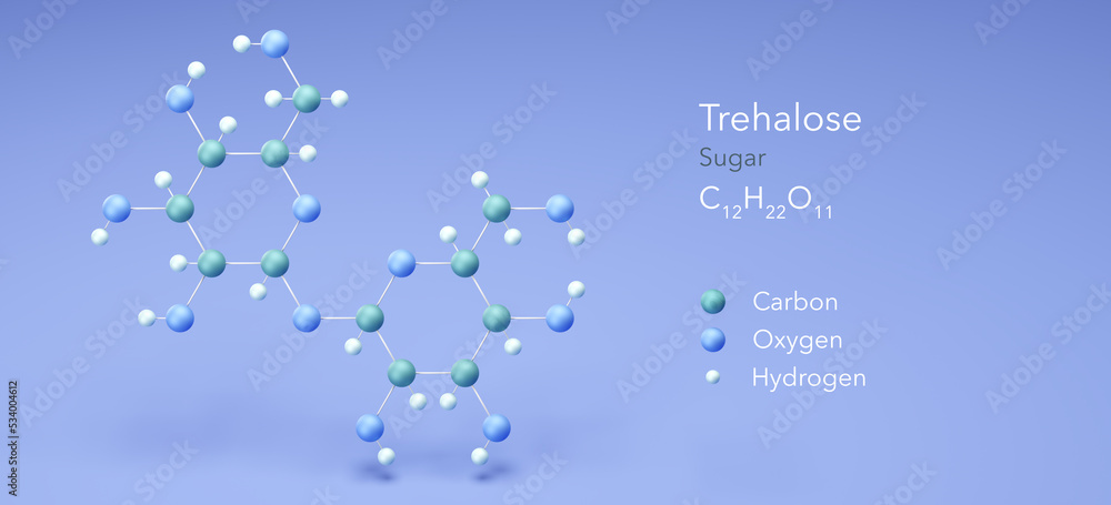 trehalose, molecular structures, sugar, 3d model, Structural Chemical ...