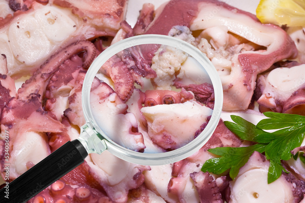 Octopus salad HACCP (Hazard Analyses and Critical Control Points ...