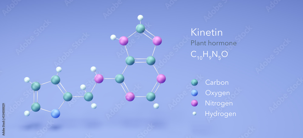 kinetin, molecular structures, plant hormone, 3d model, Structural ...