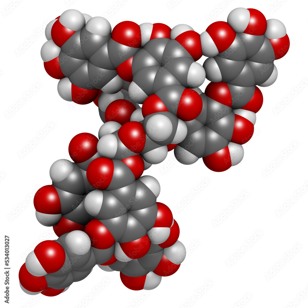 Tannic Acid Molecule One Isomer Shown Type Of Tannin Stock