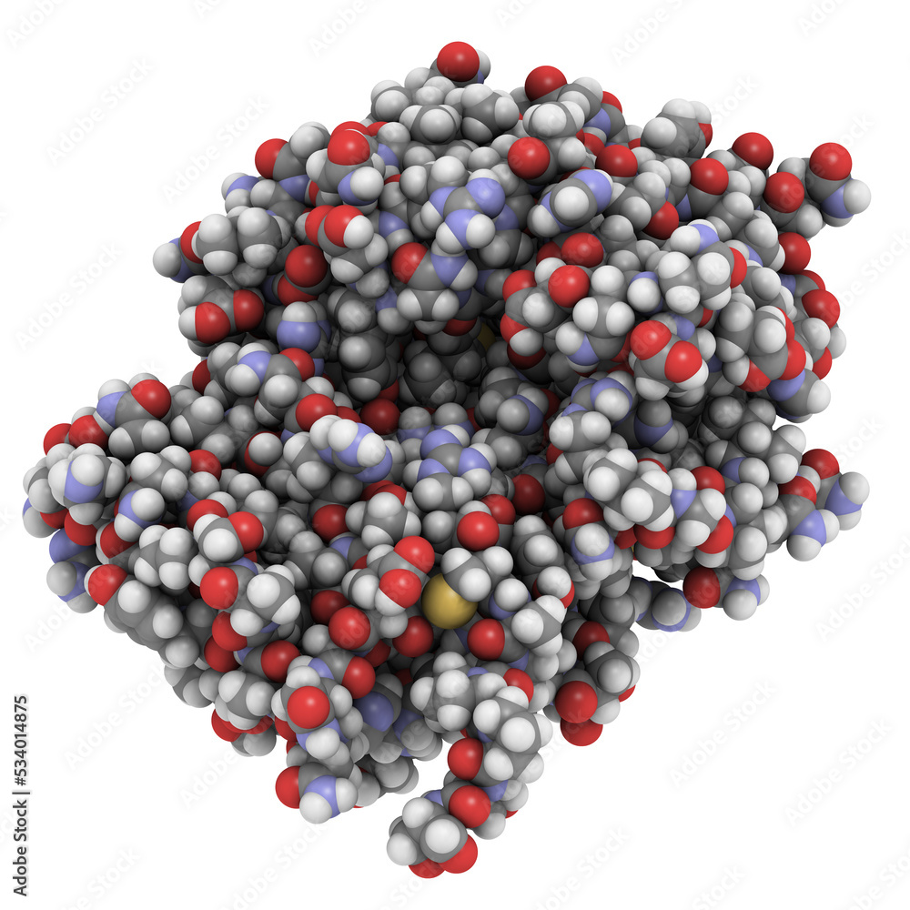 Ricin castor bean plant poisonous protein, chemical structure. Stock ...