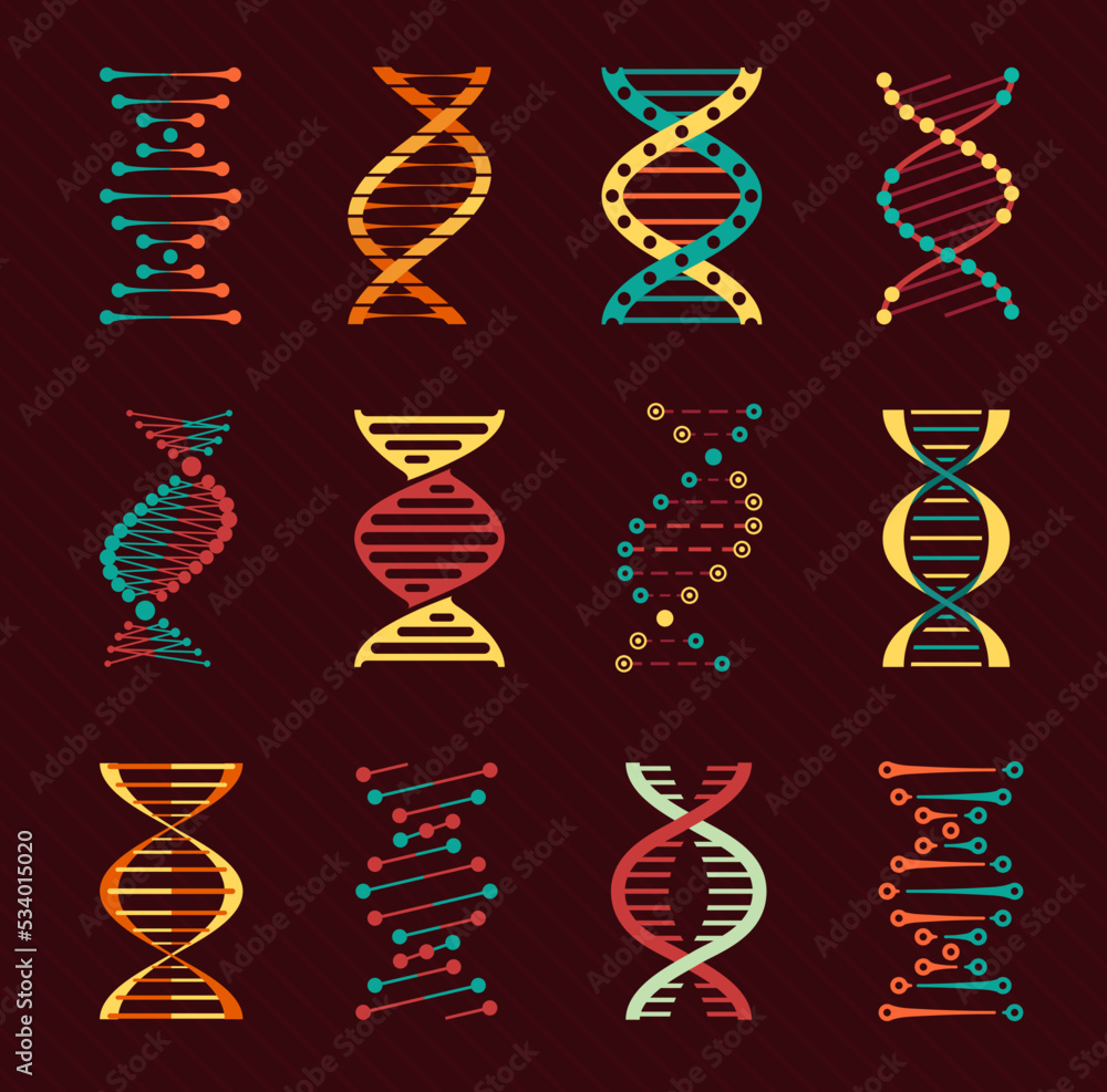 DNA vector icons with helices of human genes. Genetic molecule spiral ...