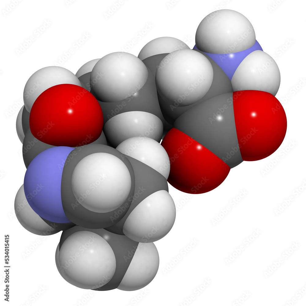 Pyrrolysine (Pyl, O) amino acid, molecular model. Stock Illustration ...