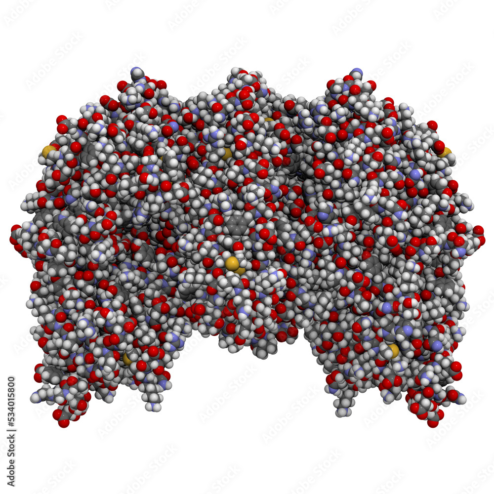 Prostate-specific membrane antigen (PSMA), chemical structure Stock ...