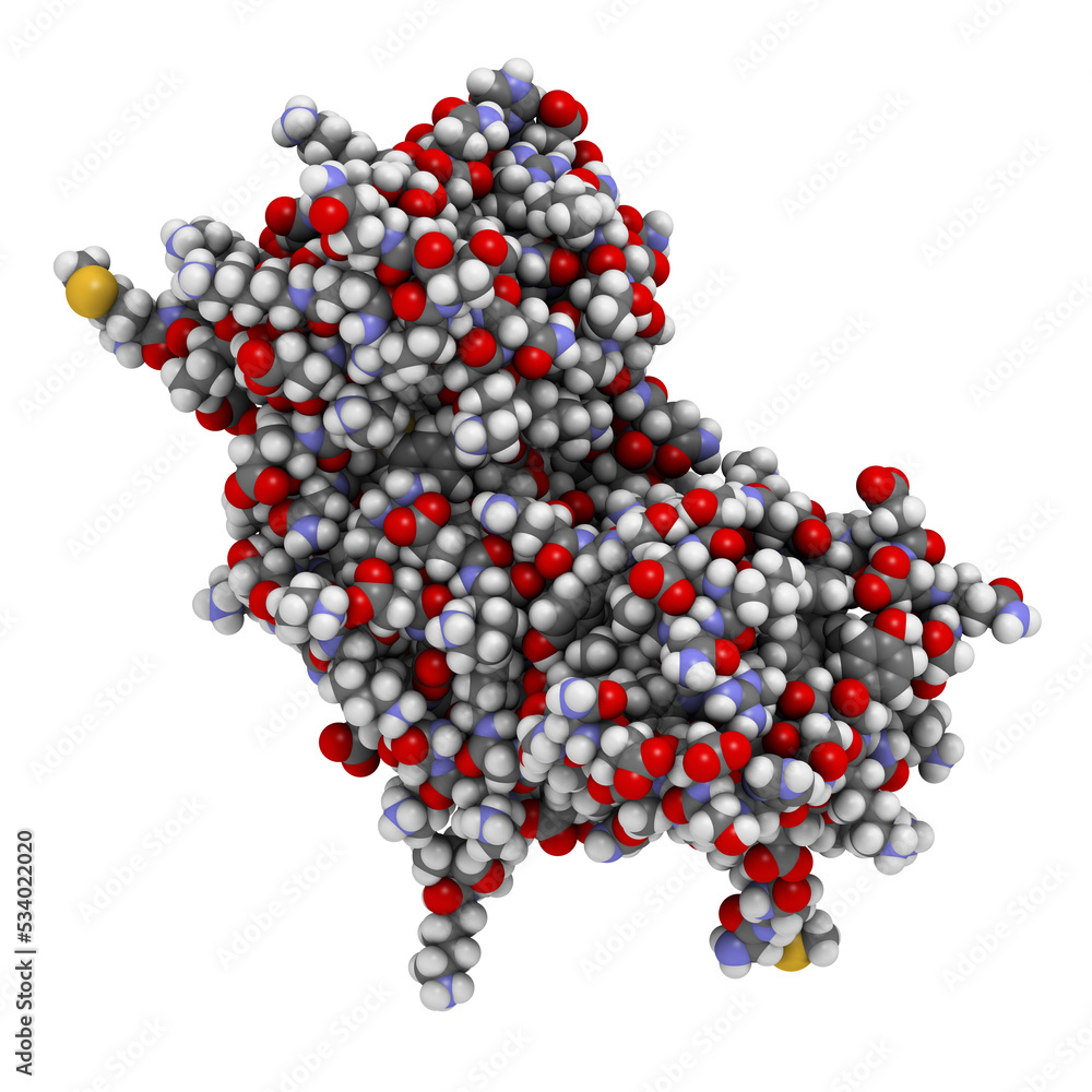 Interferon gamma (IFNg) cytokine molecule, chemical structure ...