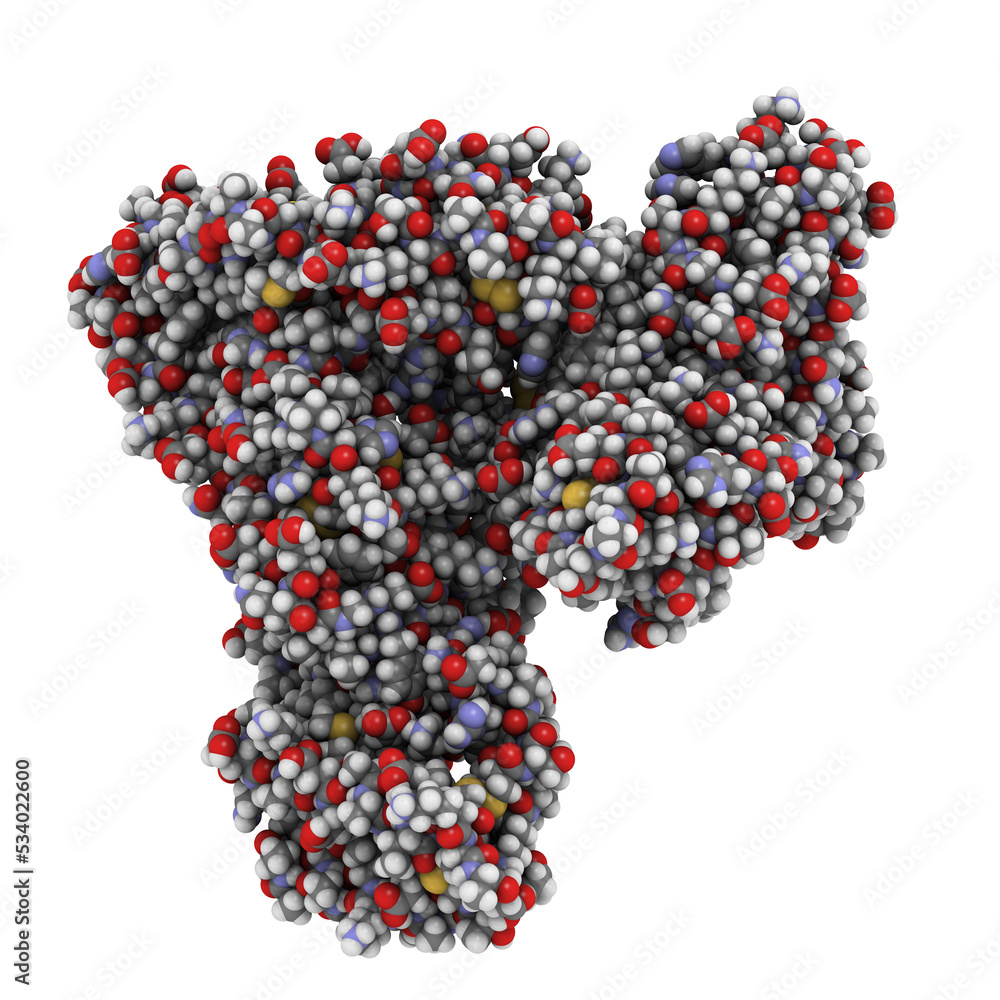 Human serum albumin protein, chemical structure. Stock Illustration ...