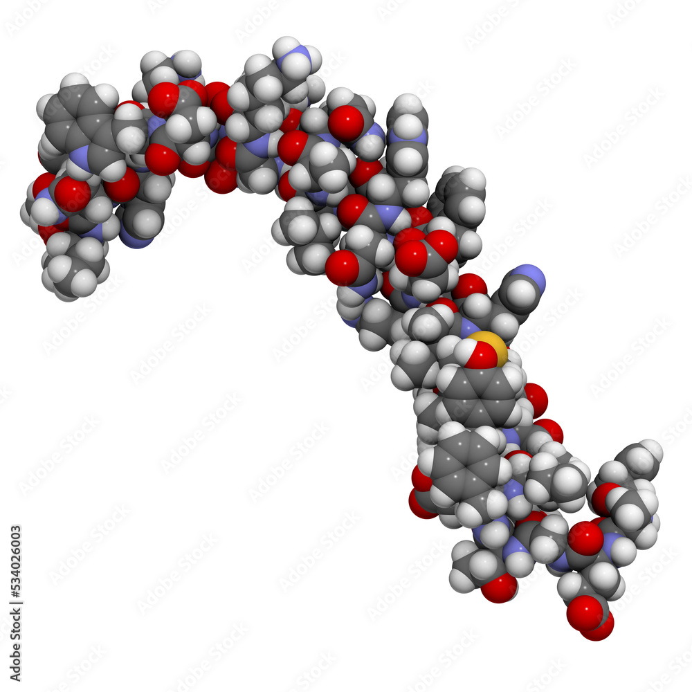 Glucose-dependent insulinotropic peptide (gastric inhibitory ...