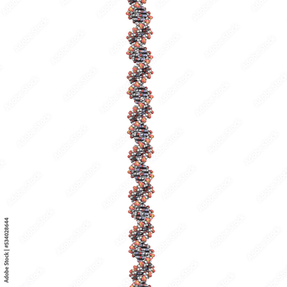 DNA, 3D molecular structure. DNA is the main carrier of genetic ...