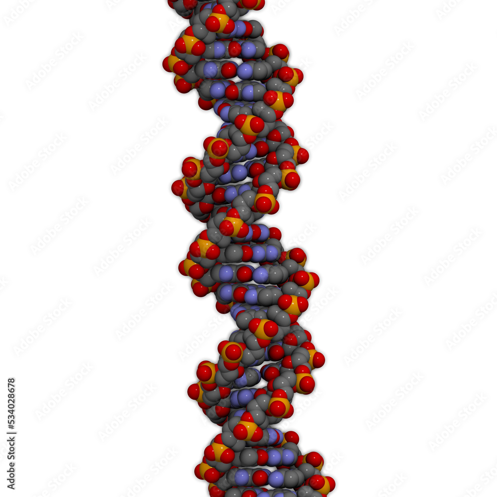 DNA, 3D molecular structure. DNA is the main carrier of genetic ...