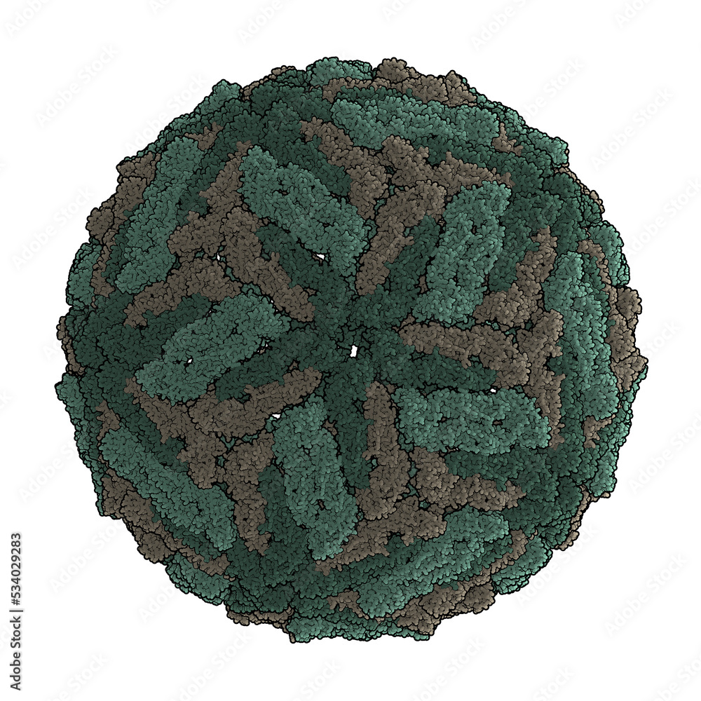 Dengue virus. Causes dengue fever (breakbone fever). Atomic-level ...