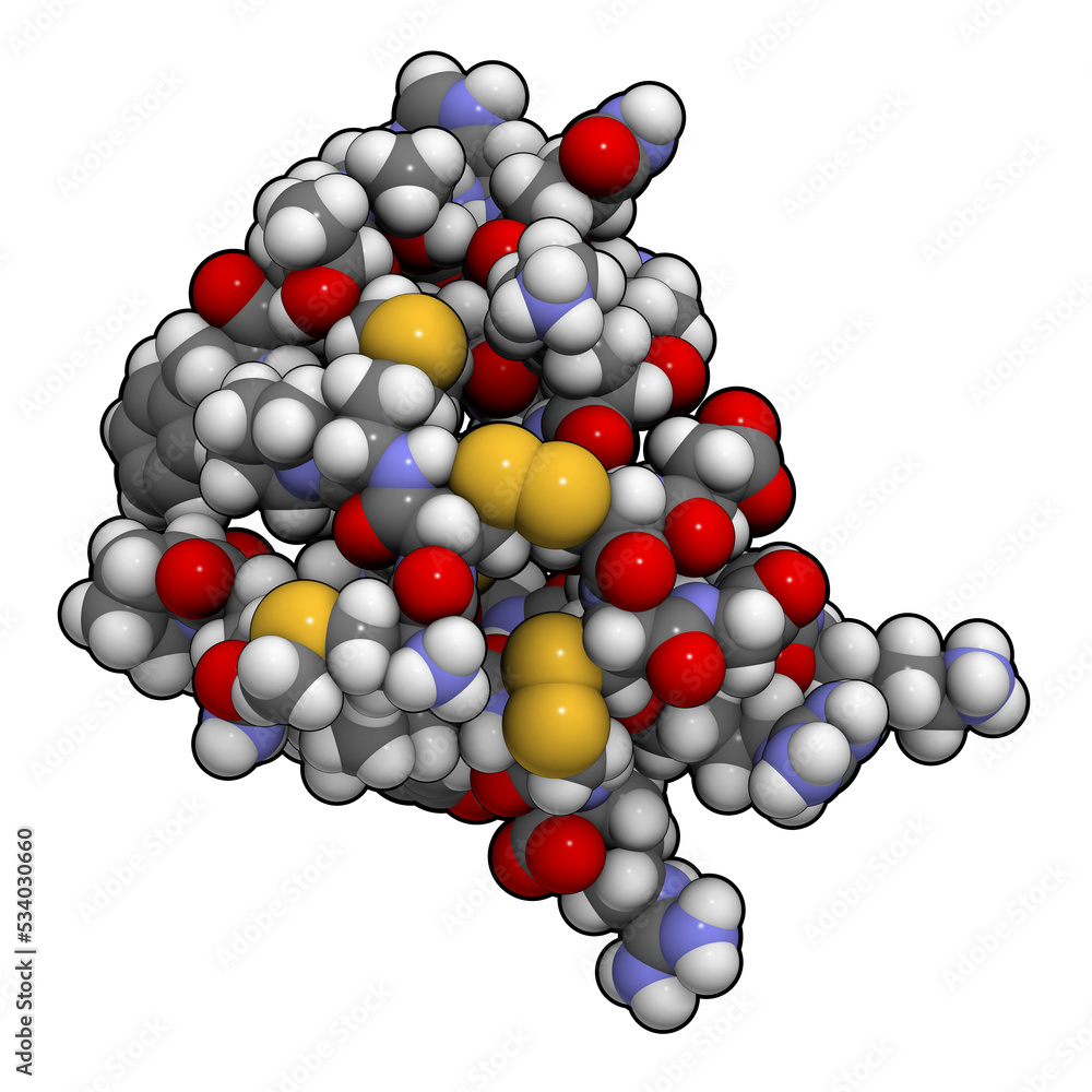 Chlorotoxin scorpion toxin. Peptide toxin present in deathstalker ...