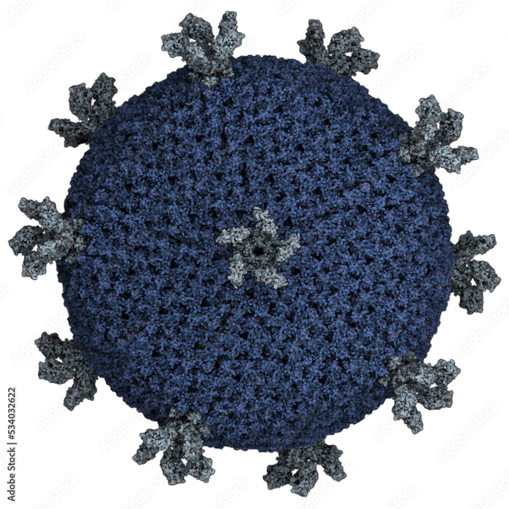 Bacteriophage PM2. Bacteriophages or phages are bacteria-infecting ...