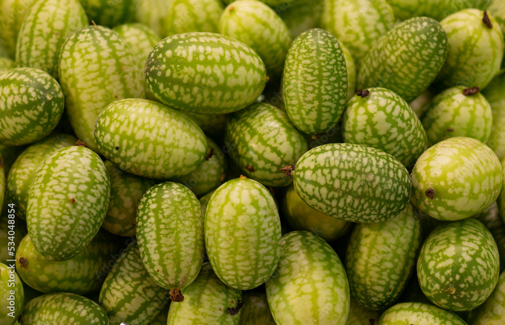 Foto de Cucamelon (Melothria scabra) - edible Mexican miniature ...