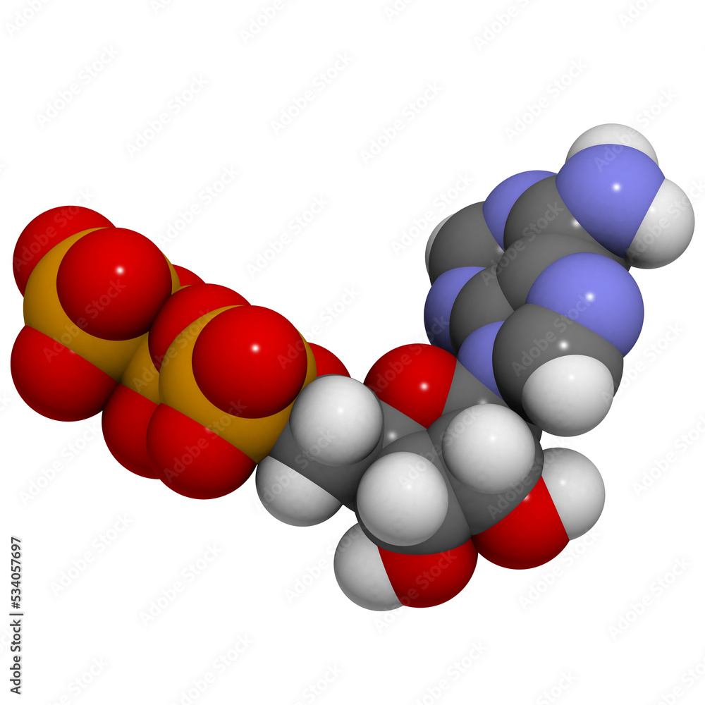 Adenosine Triphosphate Atp Energy Transport Molecule Chemical