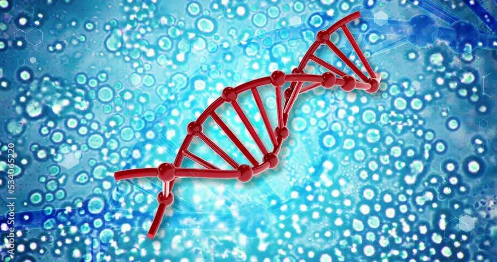 Red Deoxyribonucleic acid molecule, animation of Double Helix ...