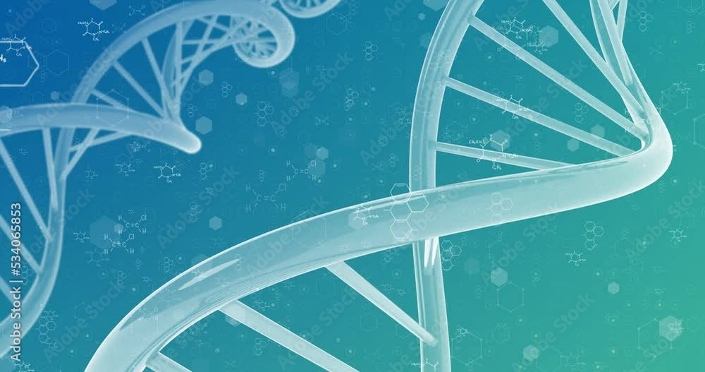 DNA molecule, animation of Double Helix Spiral, human genome. Medical ...
