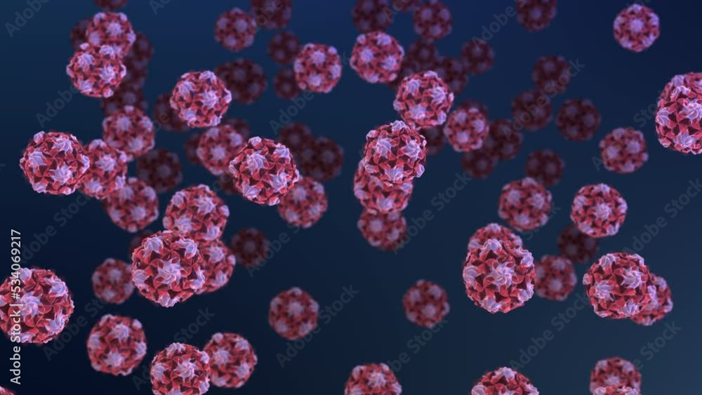 Polio virus particles with their viral capsid proteins floating ...